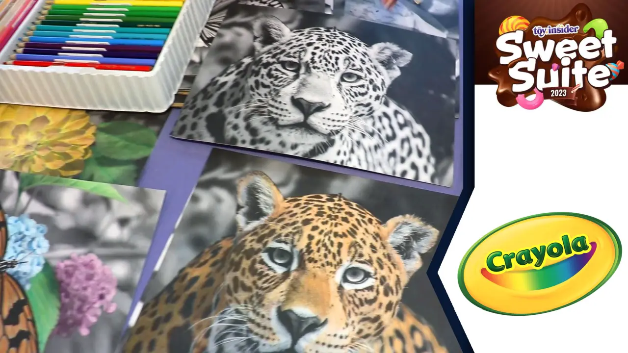 Crayola Markers Unleash Your Inner Artist - No Mess! - First L00k